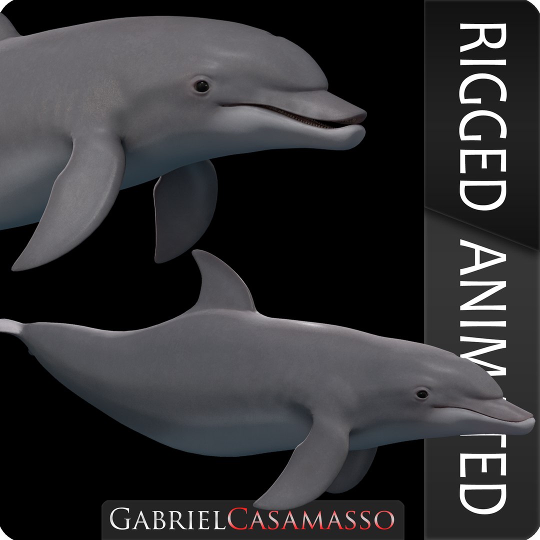 Dolphin Tursiops Truncatus 3D - TurboSquid 1187721