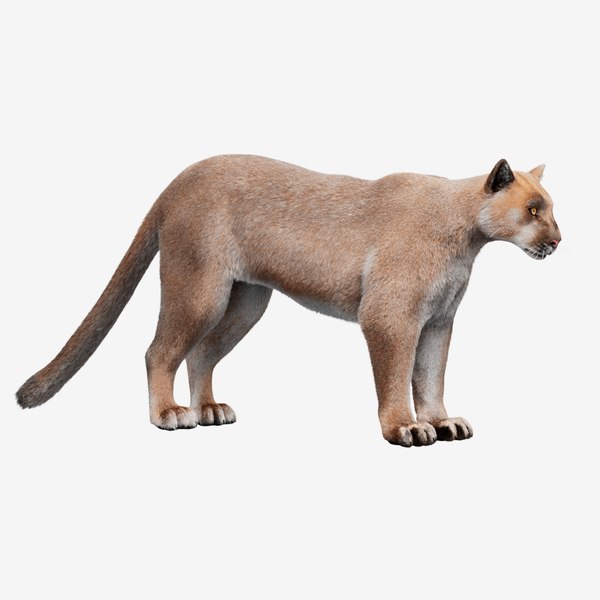 modelo 3d Puma - TurboSquid 2360299