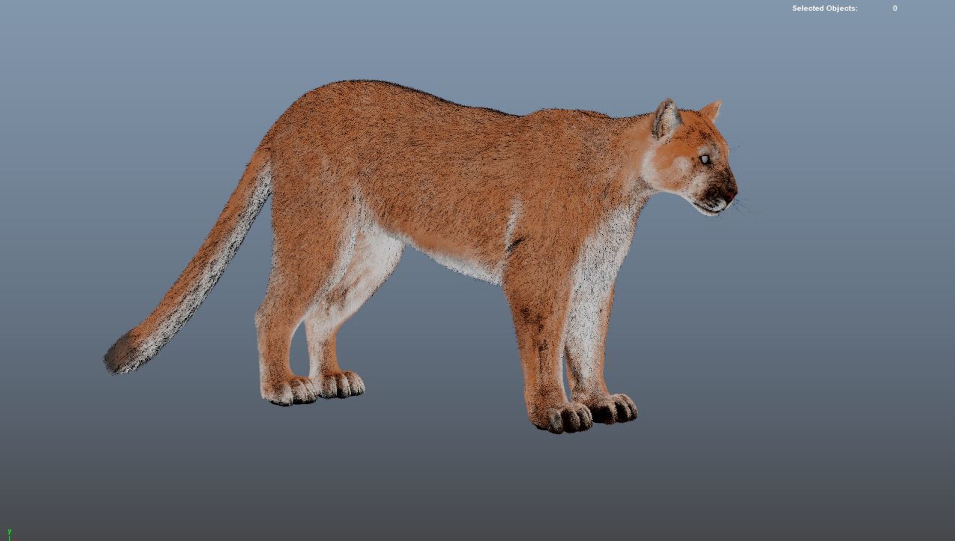 3D Model Puma - TurboSquid 2360299