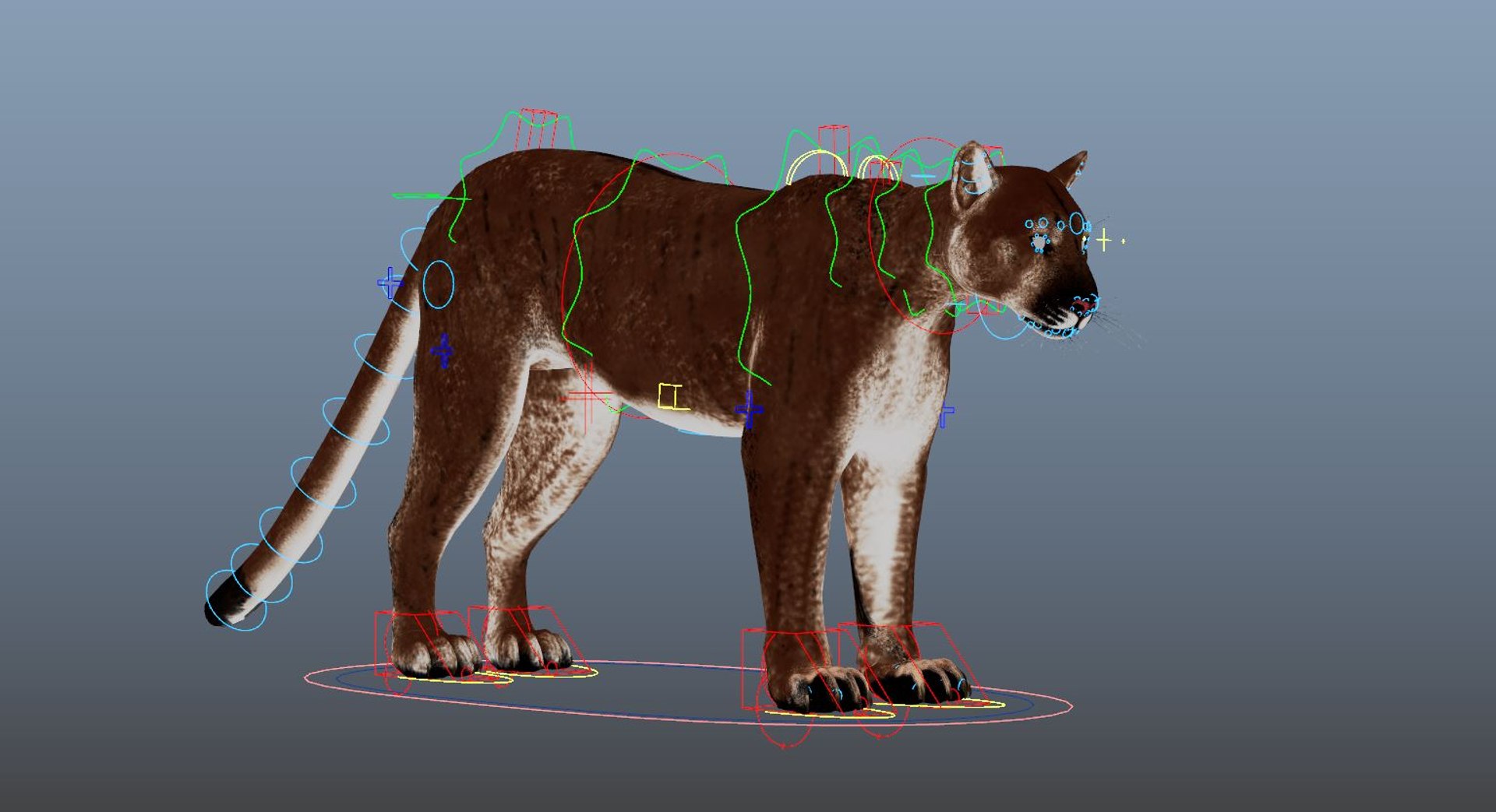 3D Model Puma - TurboSquid 2360299
