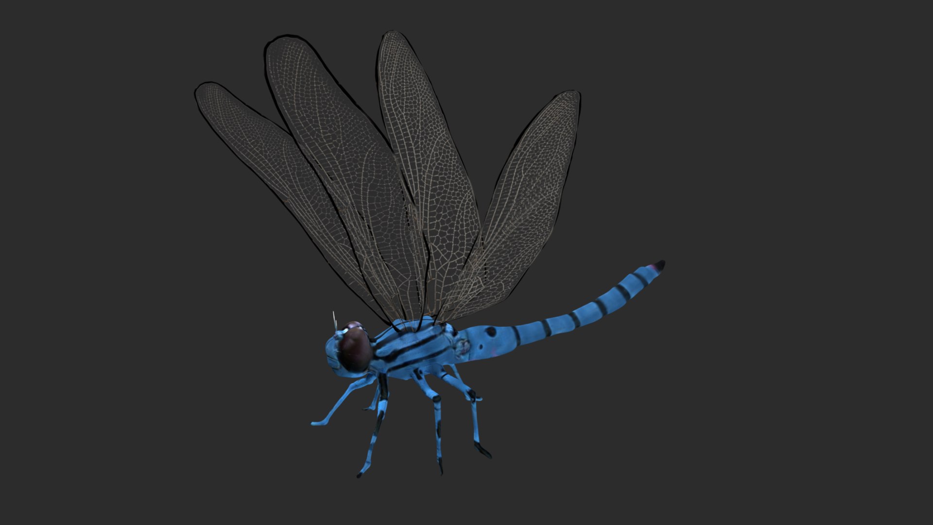 3D Model Fully Rigged Low Poly Dragonfly - TurboSquid 1758464
