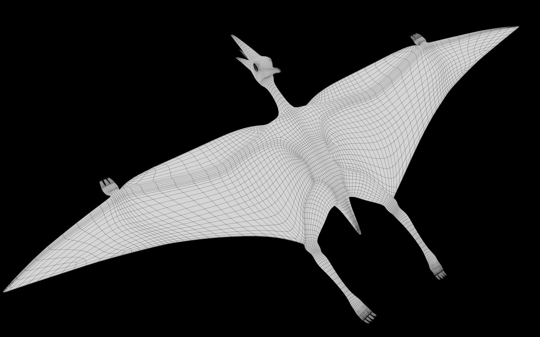 Pterosour Animation Flying 3D Model - TurboSquid 1433330