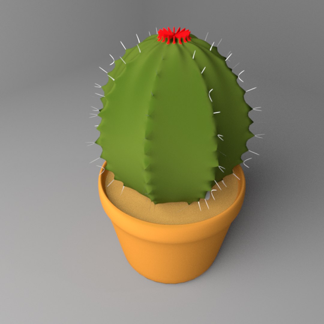 3D Cactus Plant 3 - TurboSquid 1563516