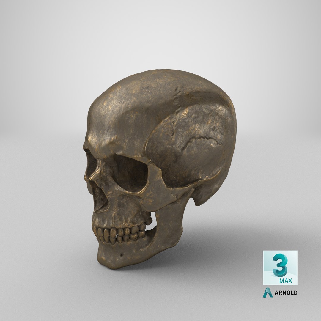 3D Human Skull Sci-fi Gold - TurboSquid 1987874
