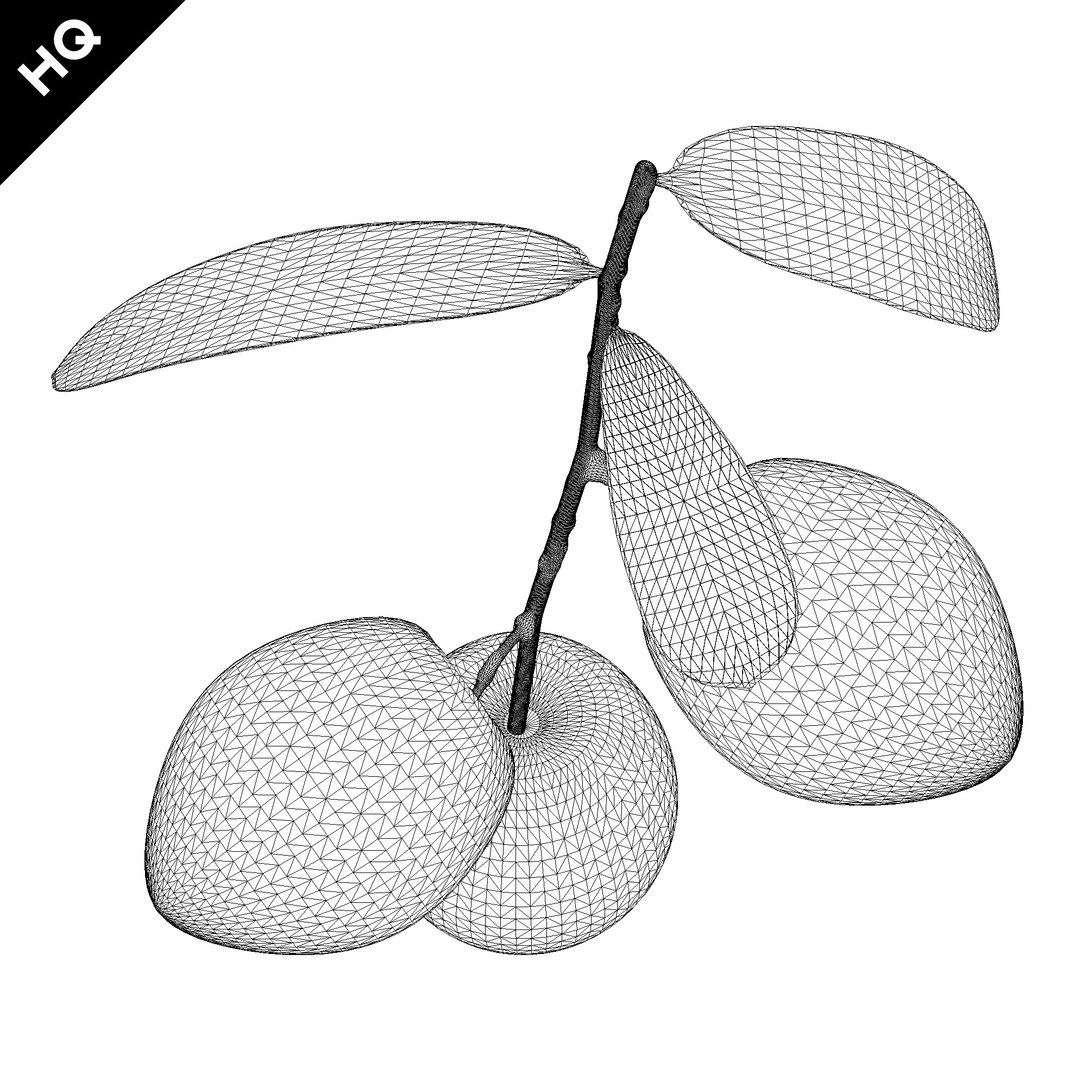 3d Olives Branch Model