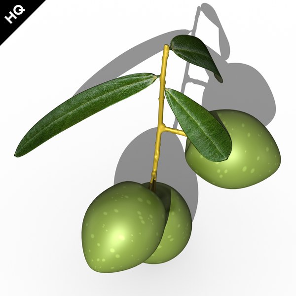 3d olives branch model