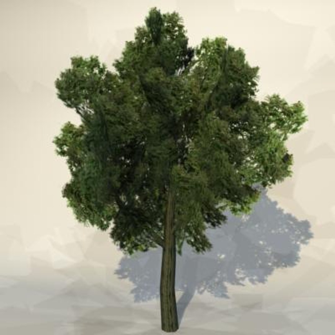 Pc Tree 3d Model