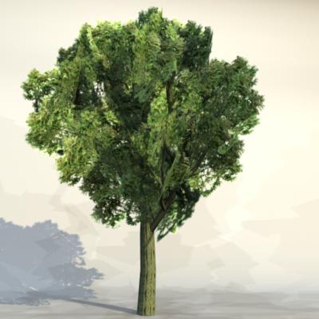 Pc Tree 3d Model