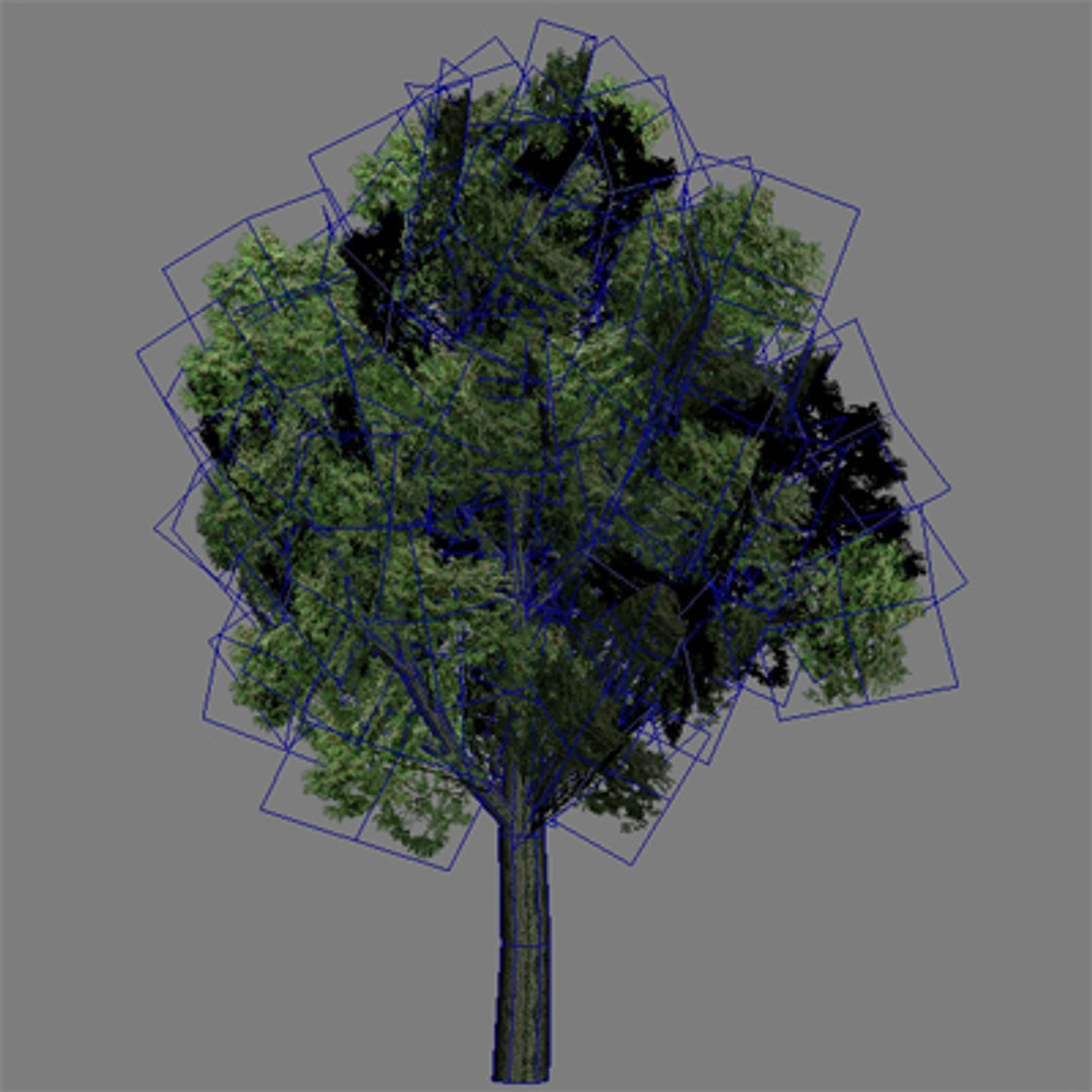 Pc Tree 3d Model