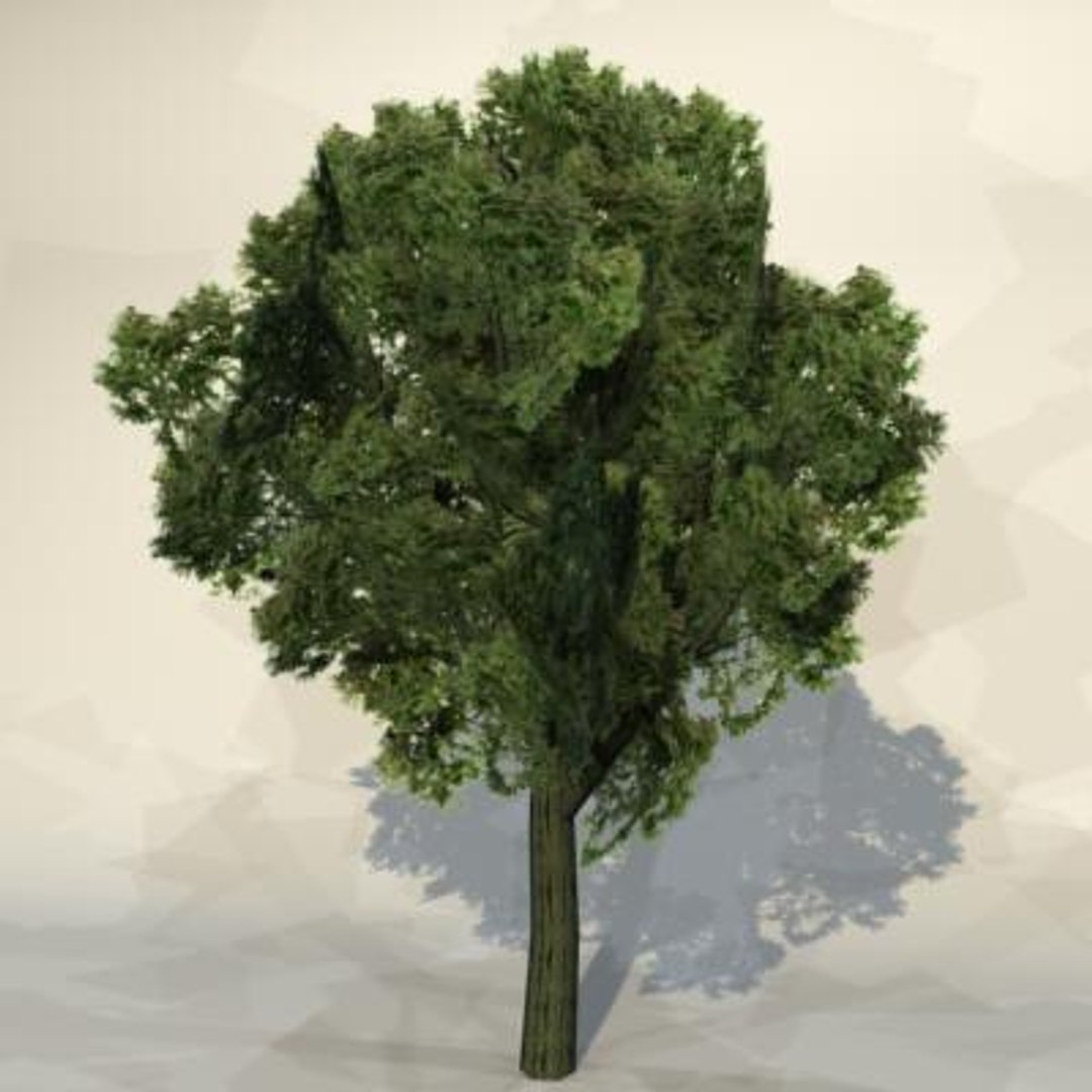 pc tree 3d model