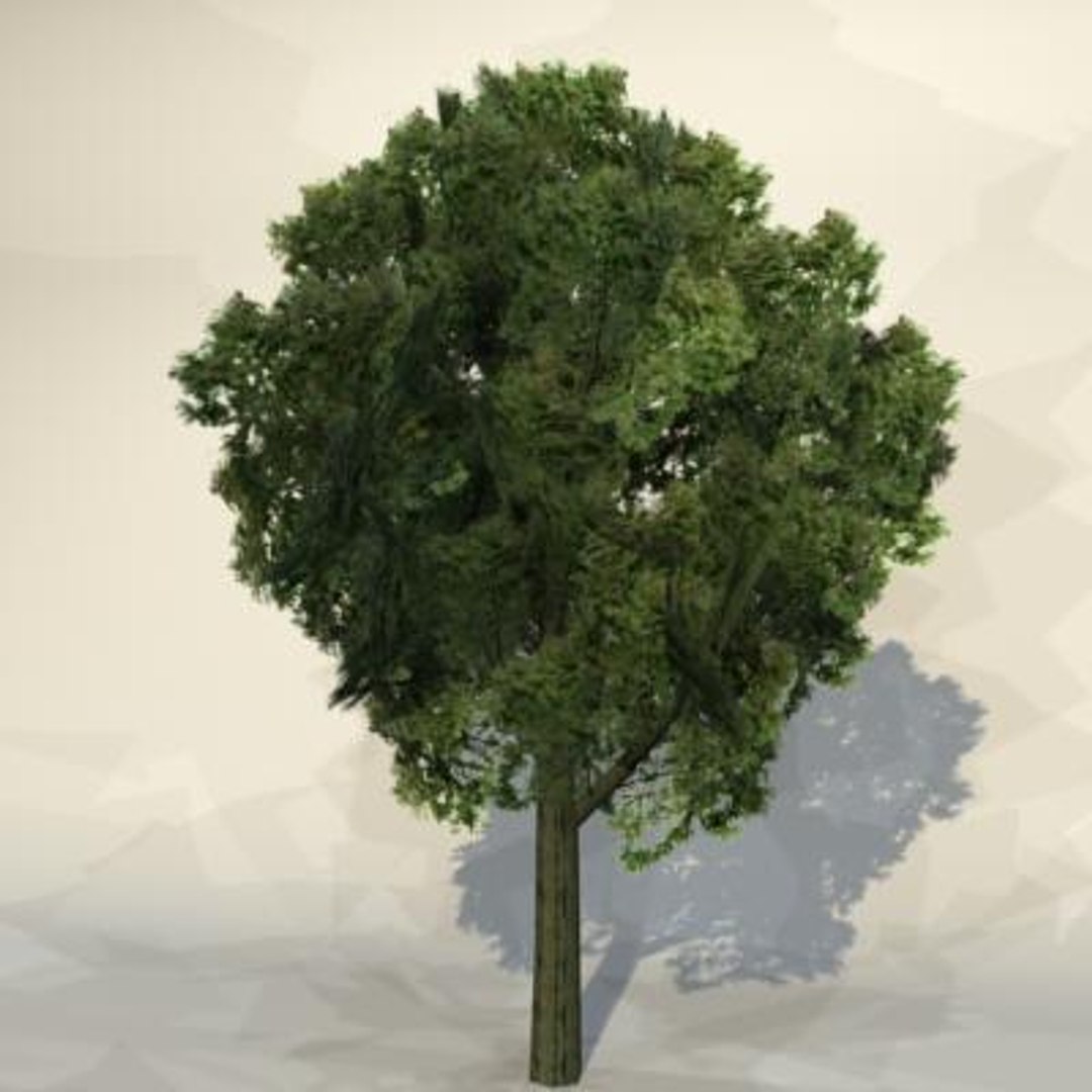 Pc Tree 3d Model