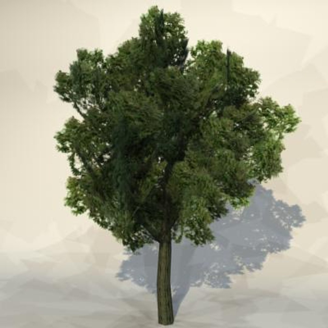 Pc Tree 3d Model