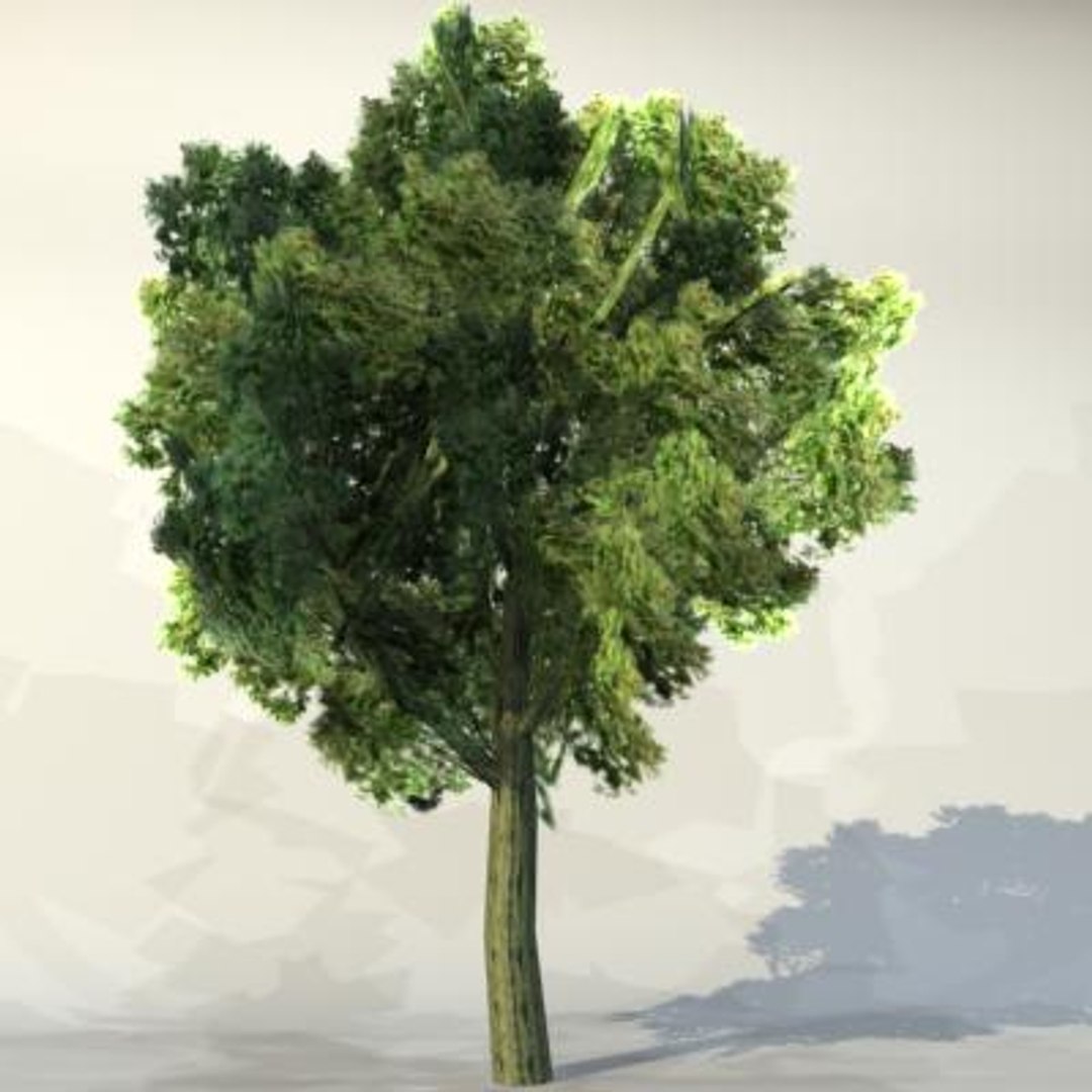 Pc Tree 3d Model