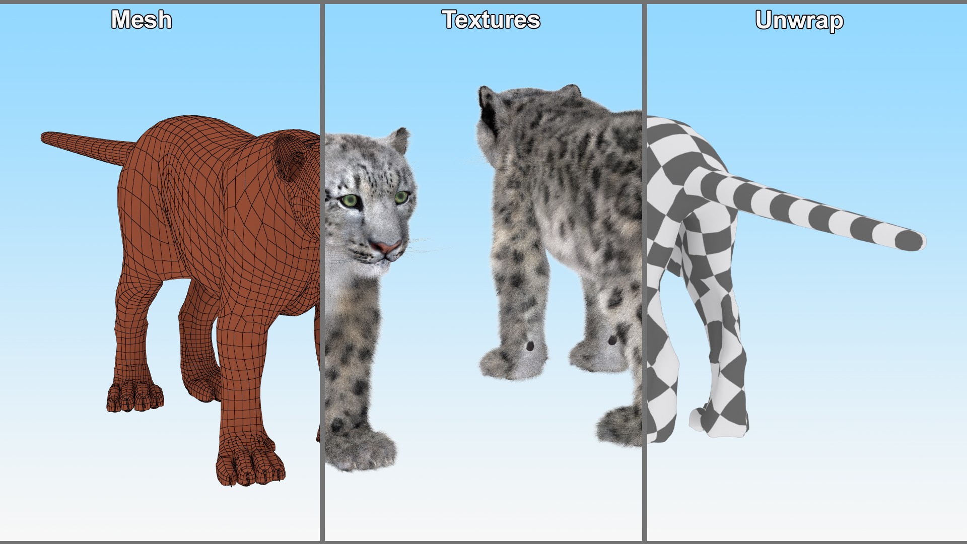 3D Snow Leopard Fur Model - TurboSquid 2332262