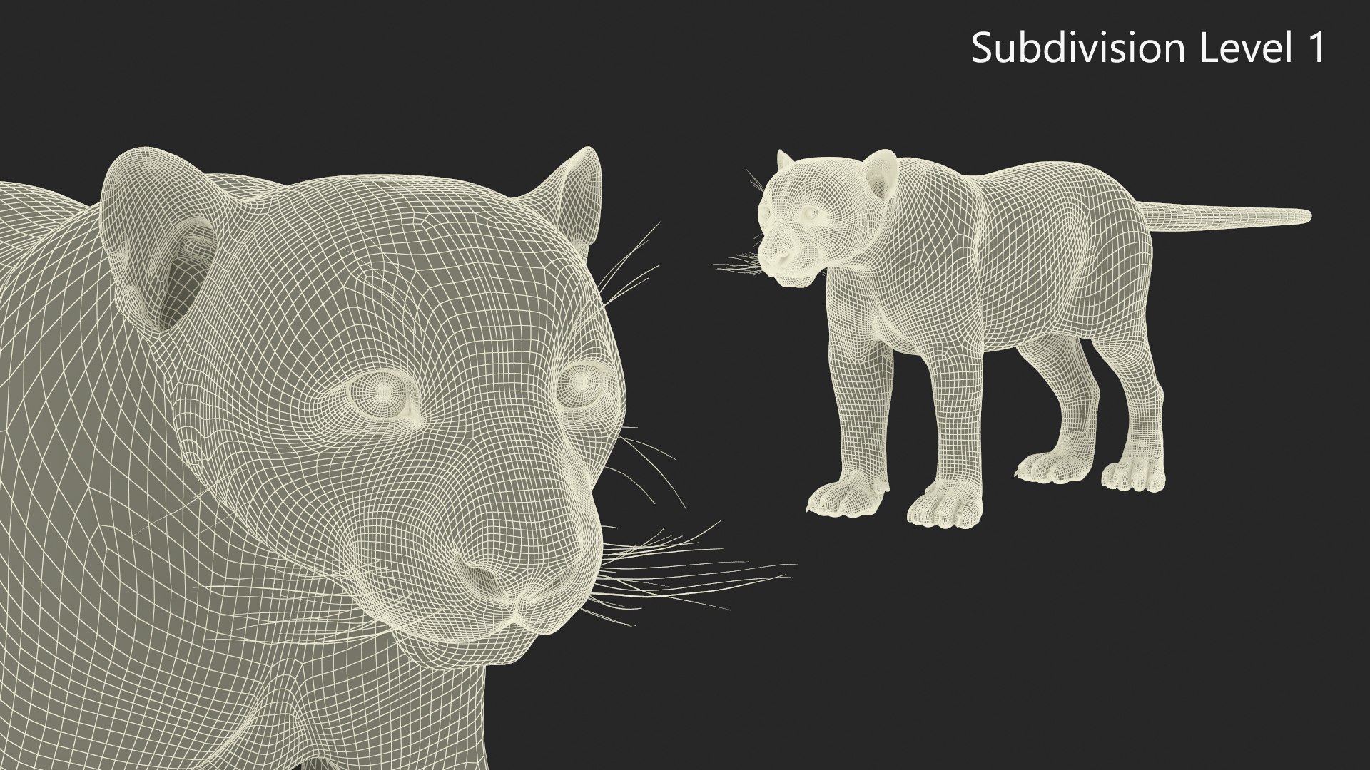 3D Snow Leopard Fur Model - TurboSquid 2332262