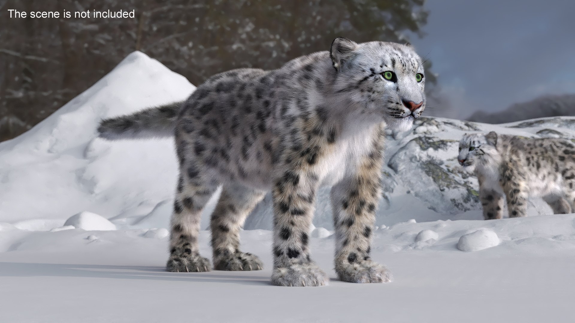 3D Snow Leopard Fur Model - TurboSquid 2332262