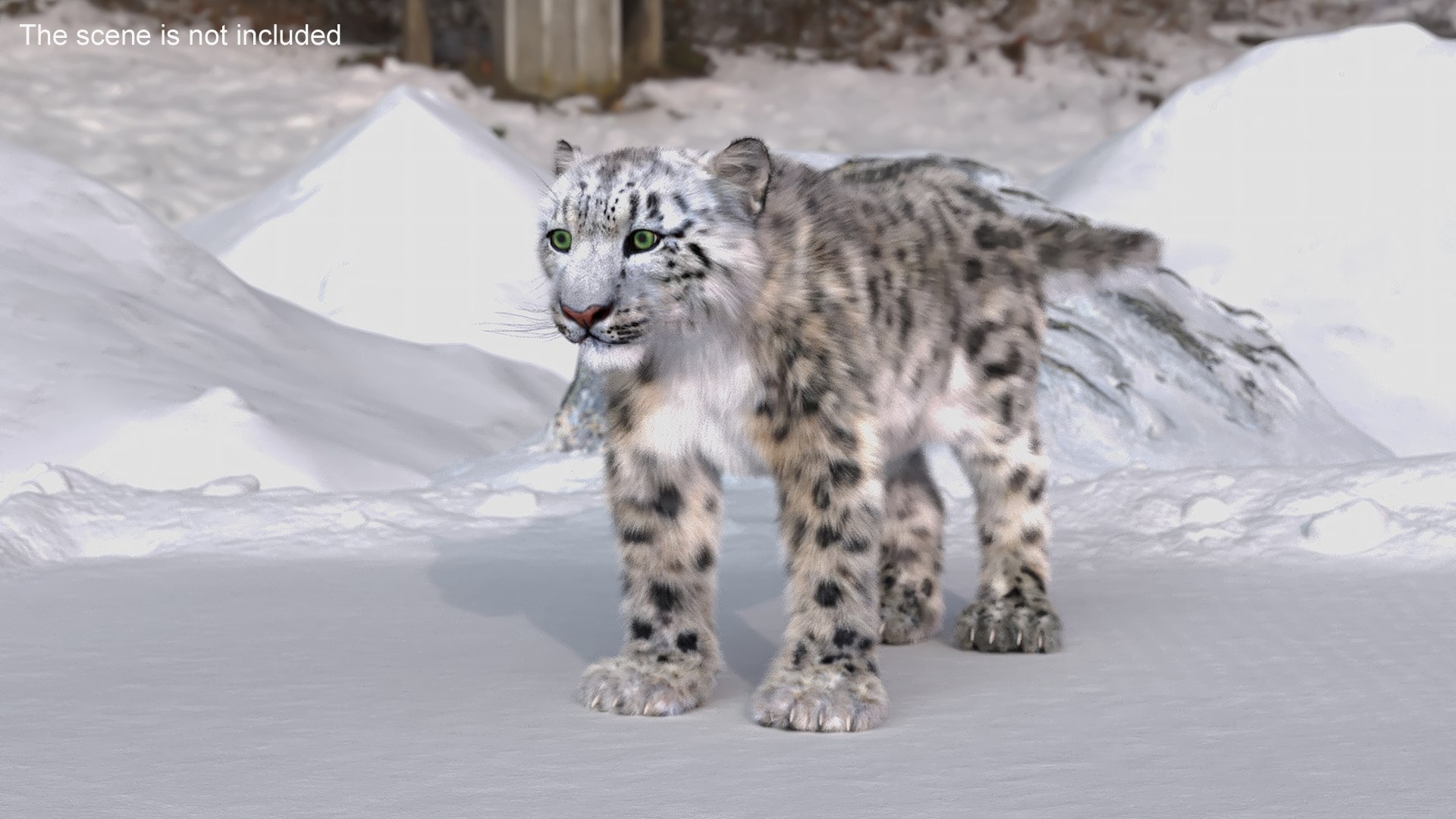 3D Snow Leopard Fur Model - TurboSquid 2332262