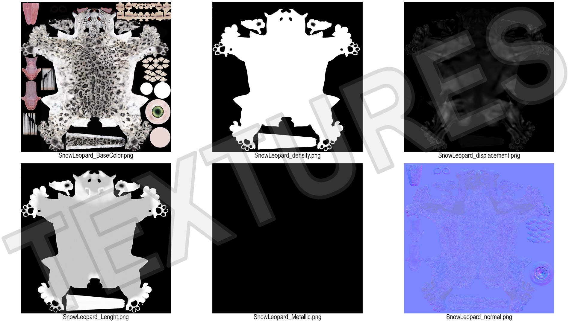 3D Snow Leopard Fur Model - TurboSquid 2332262