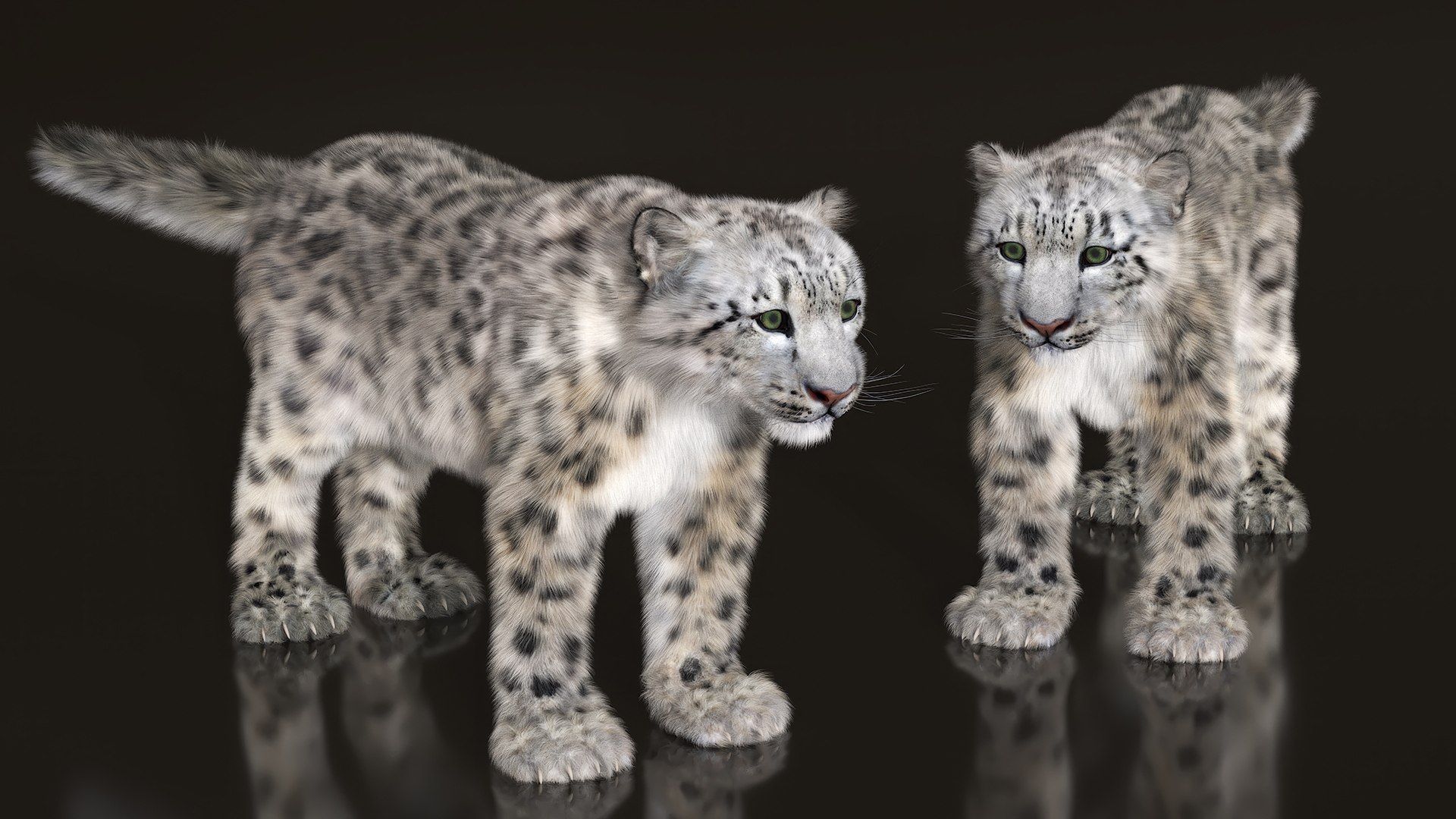 3D Snow Leopard Fur Model - TurboSquid 2332262