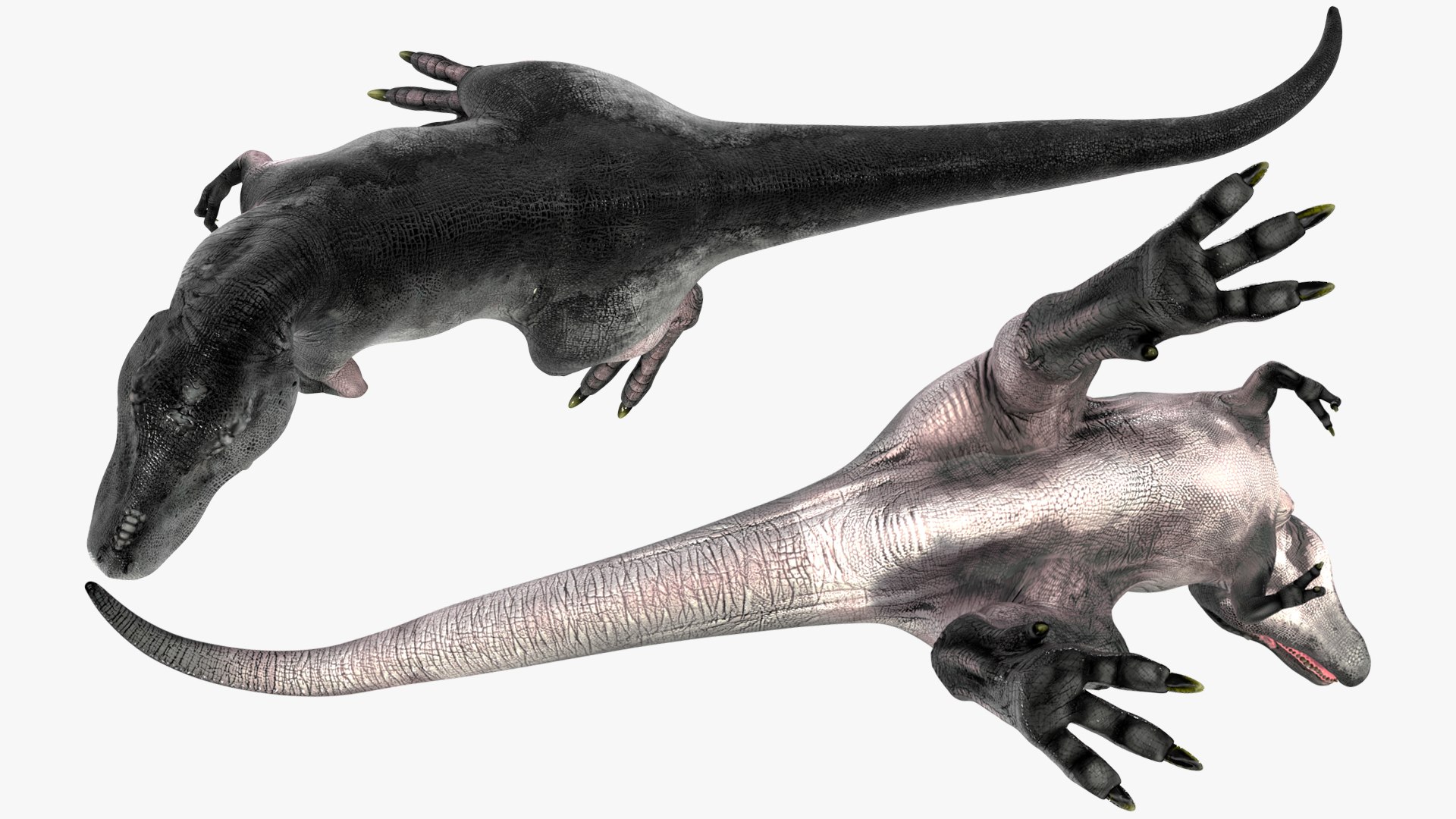 3D T Rex Stand Pose - TurboSquid 2101973