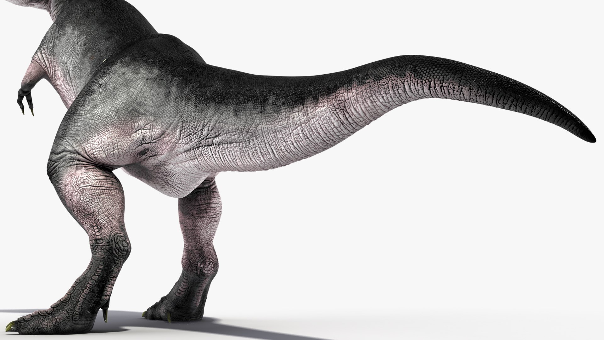 3D T Rex Stand Pose - TurboSquid 2101973
