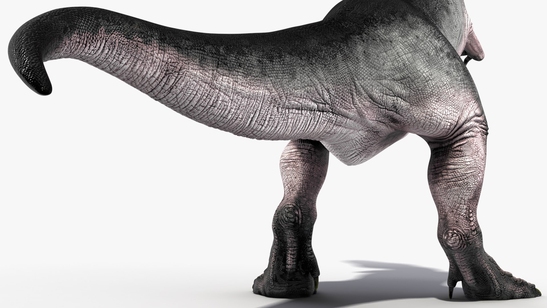 3D T Rex Stand Pose - TurboSquid 2101973