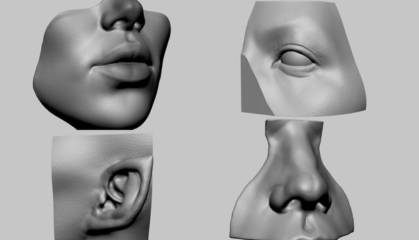 mouth modeled stl 3d model