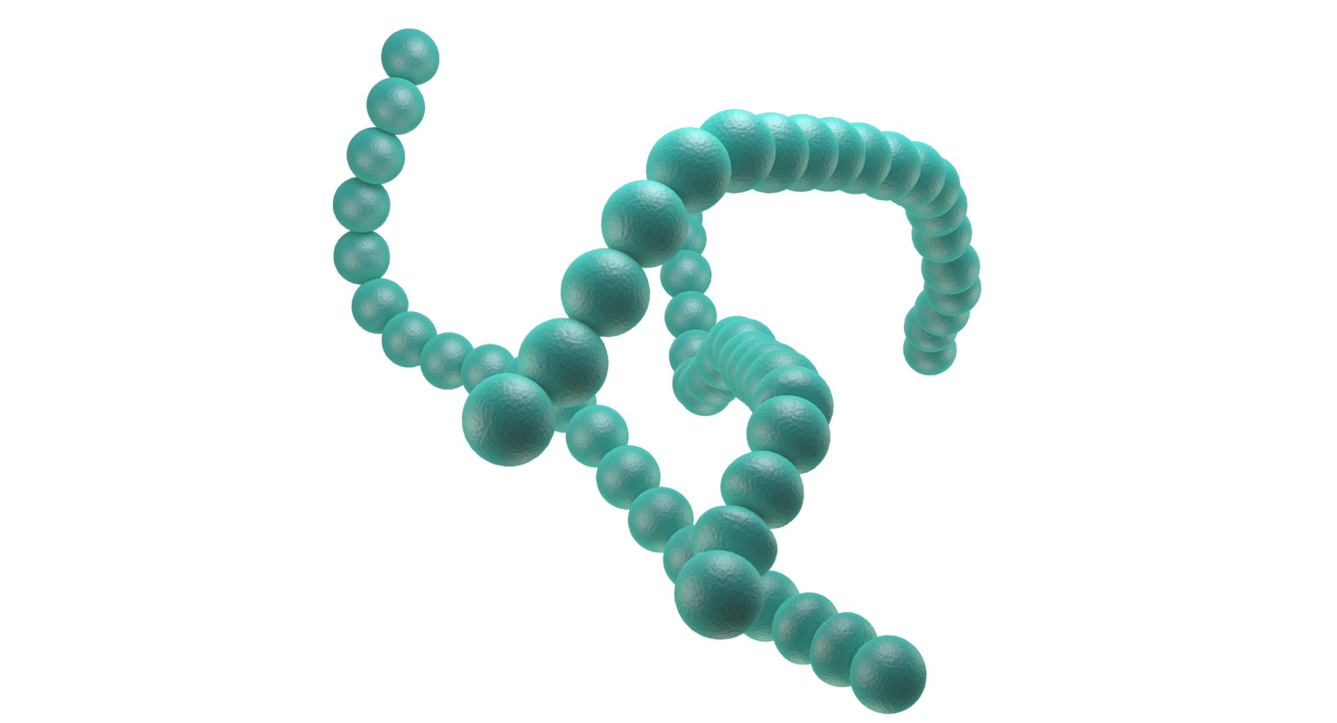 Streptococcus Pyogenes Bacteria Rigged 3D - TurboSquid 1213095
