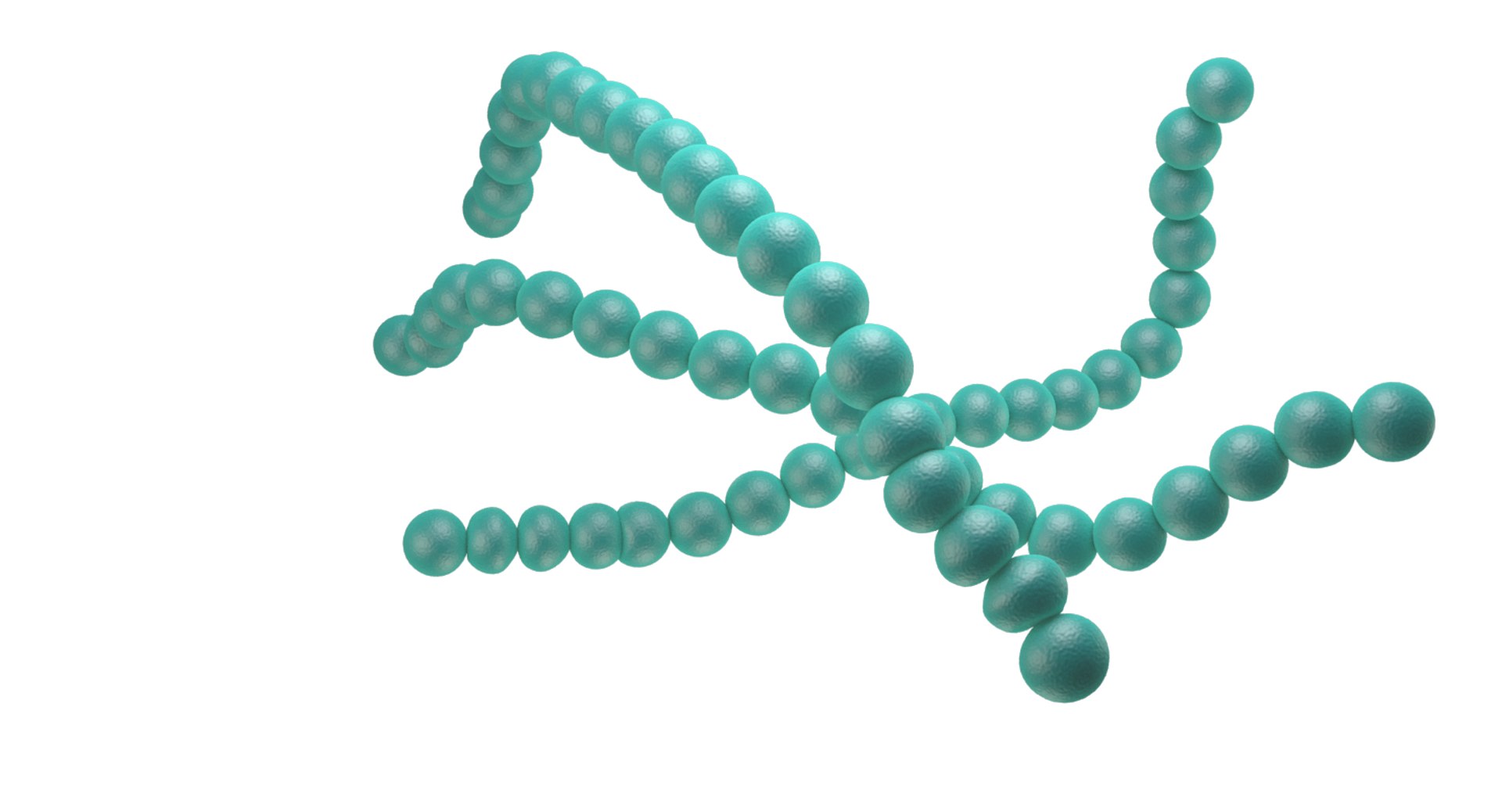 Streptococcus Pyogenes Bacteria Rigged 3D - TurboSquid 1213095