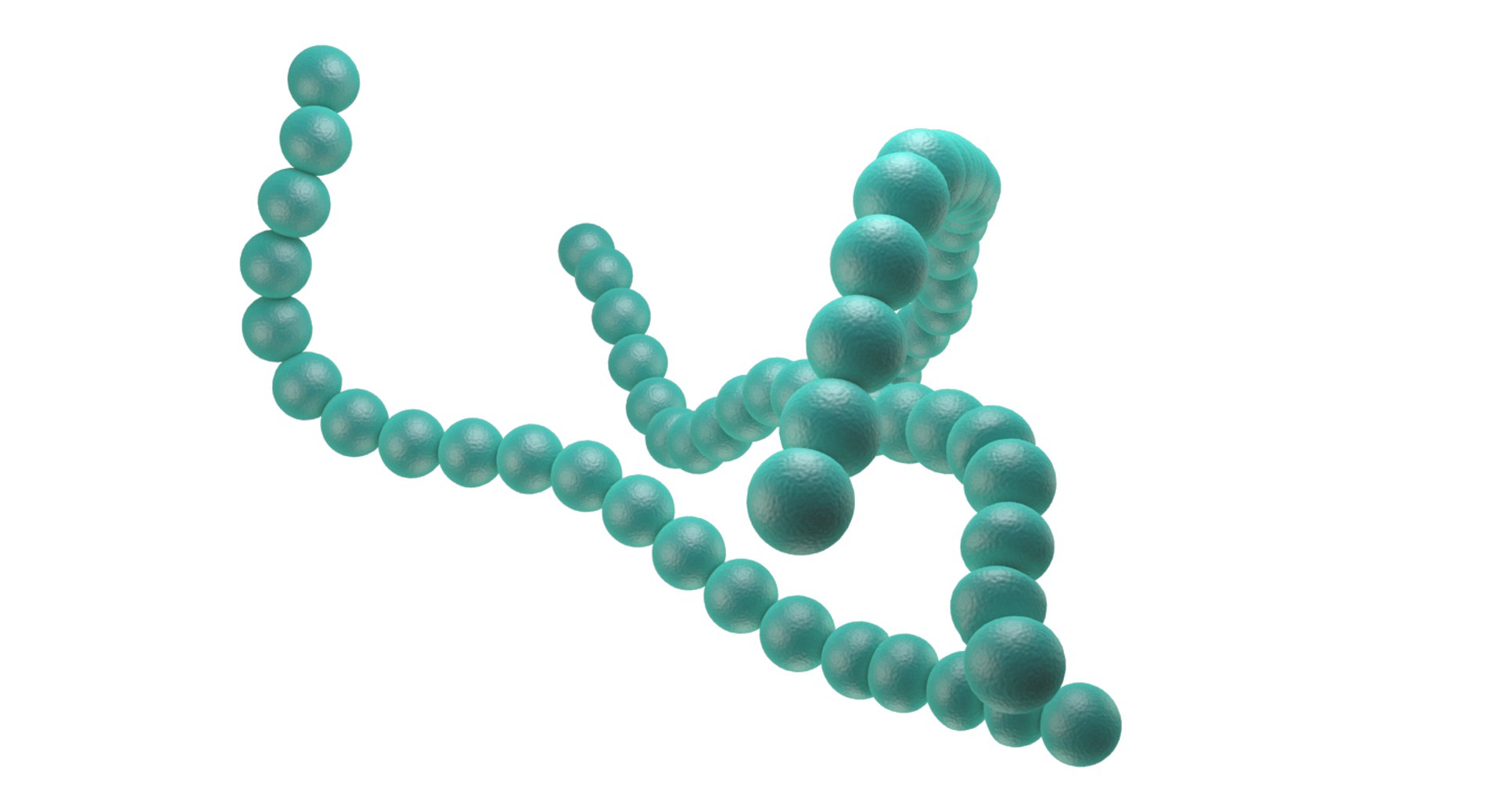 Streptococcus Pyogenes Bacteria Rigged 3D - TurboSquid 1213095