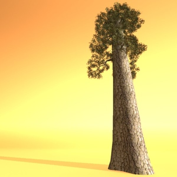 Redwood 3D Models for Download | TurboSquid