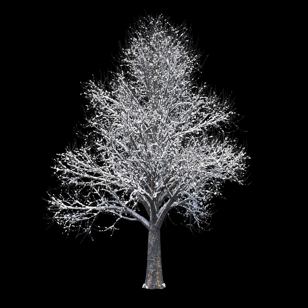 3D model winter tree 02 - TurboSquid 1223040