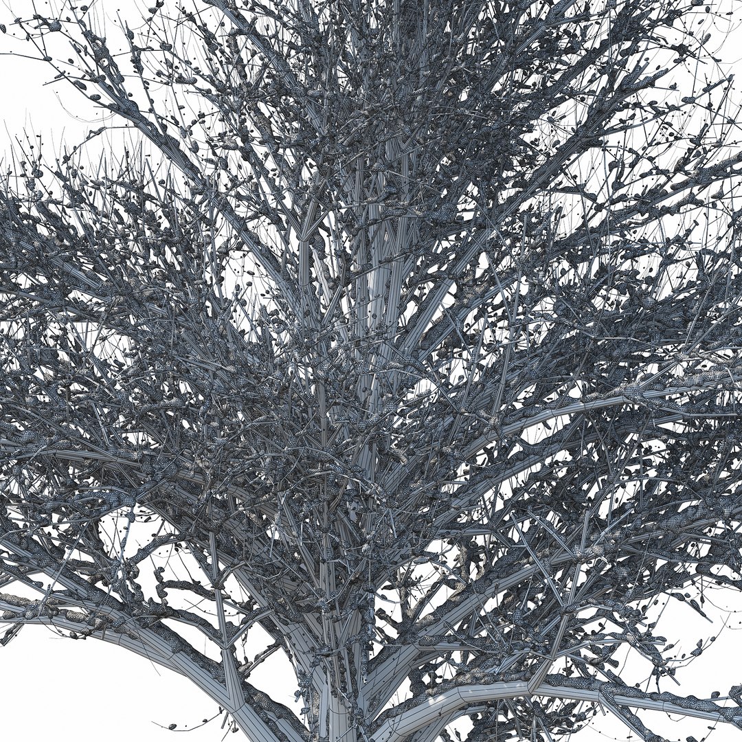 3D model winter tree 02 - TurboSquid 1223040