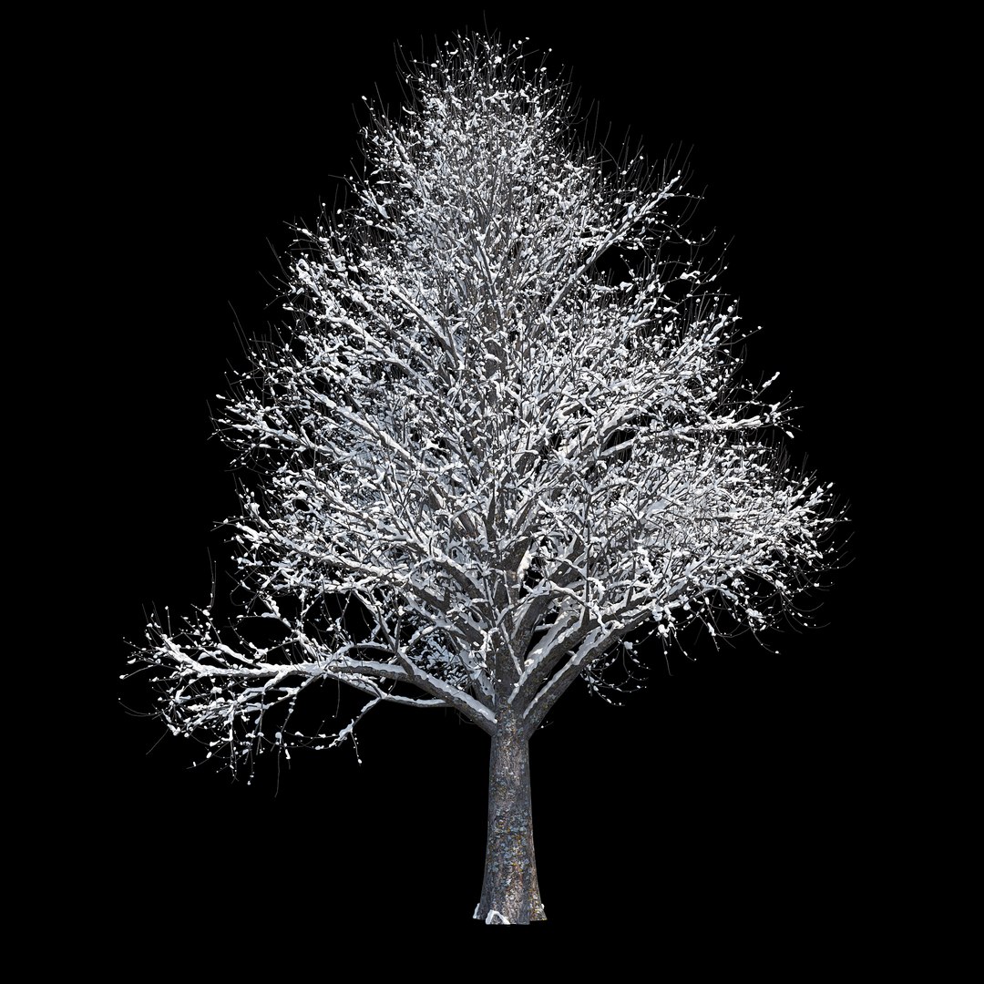 3D model winter tree 02 - TurboSquid 1223040