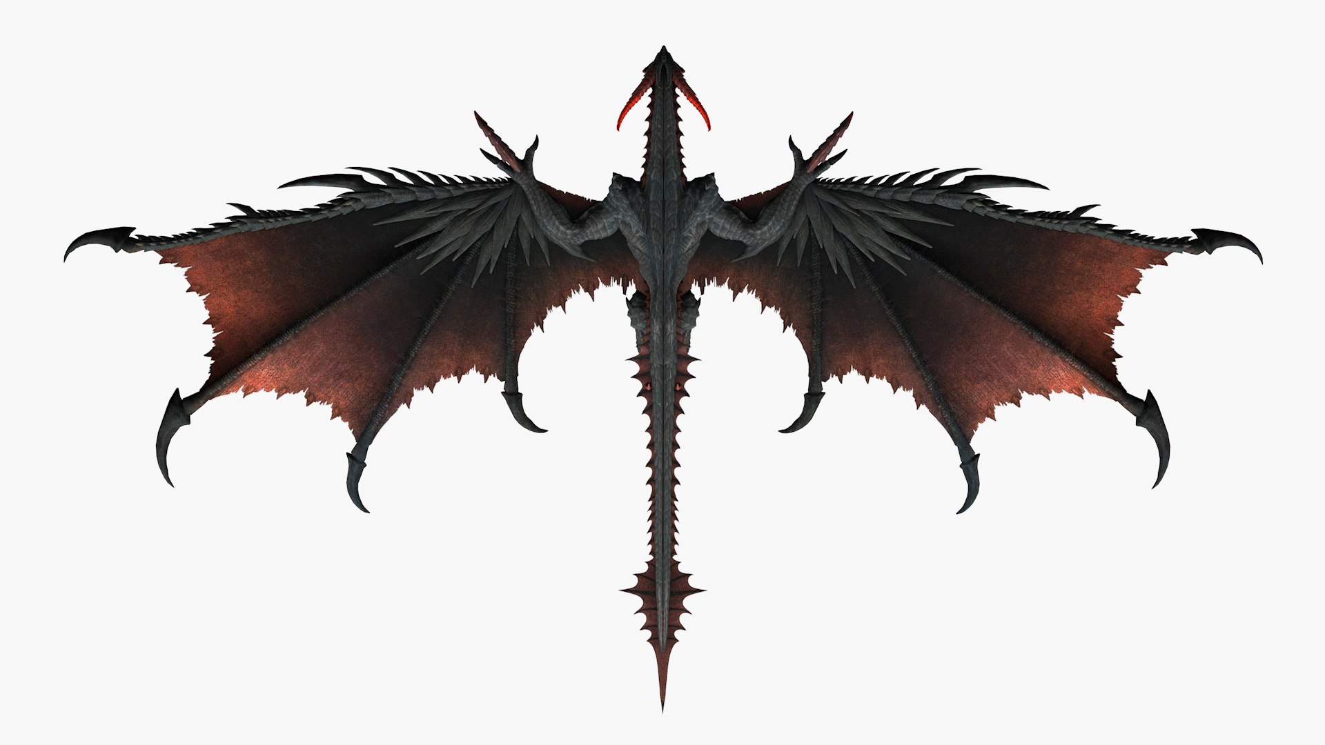 Elculous Dragon 3D Model - TurboSquid 2079710