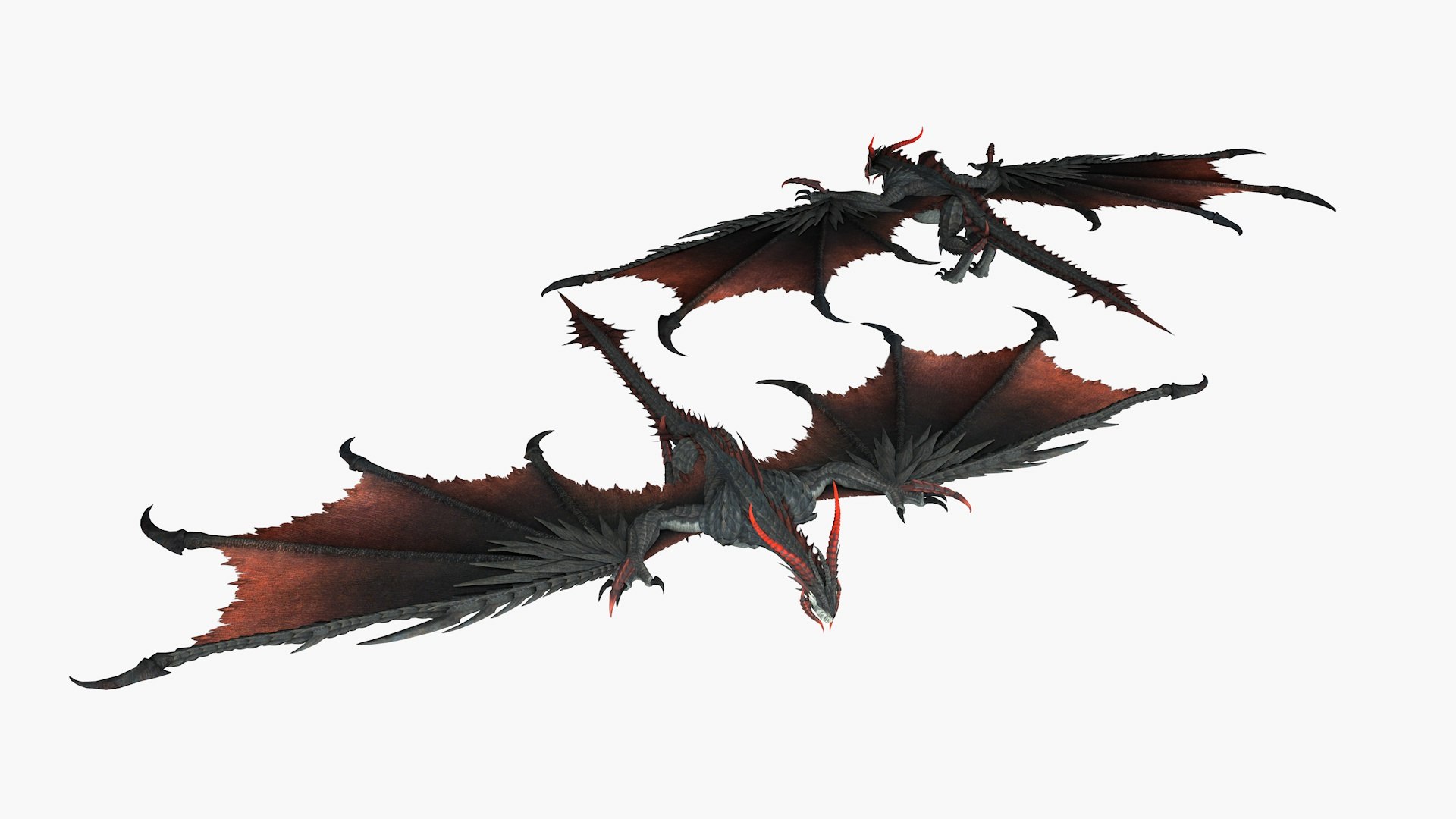 Elculous Dragon 3D Model - TurboSquid 2079710