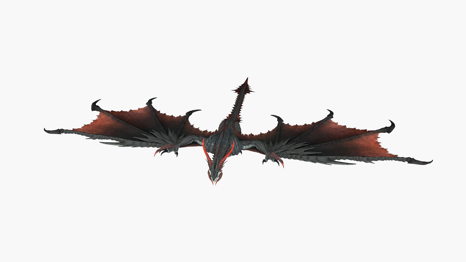 Elculous Dragon 3D Model - TurboSquid 2079710