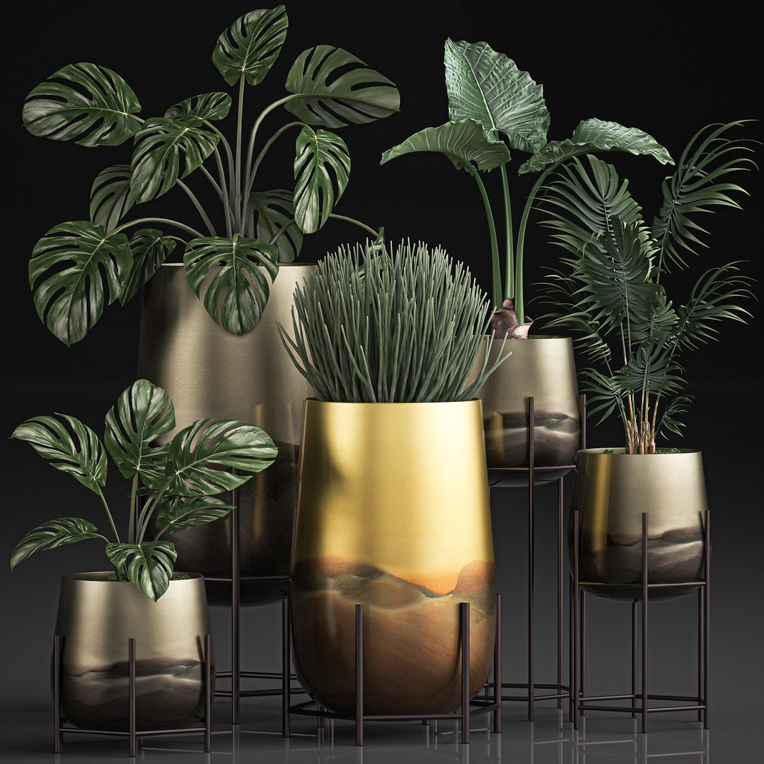 3D decorative plants pots interior - TurboSquid 1558804