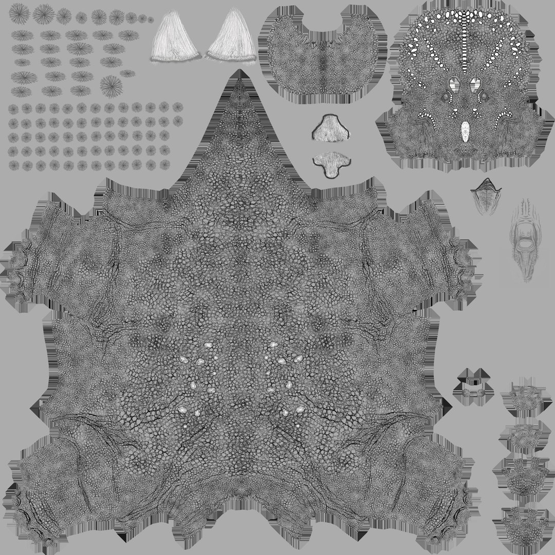 3D Diceratops Model - TurboSquid 1844290