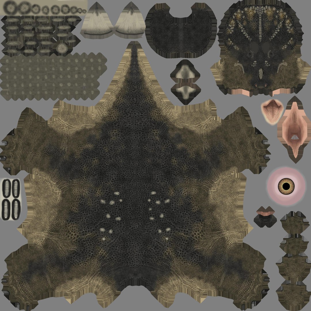 3D Diceratops Model - TurboSquid 1844290