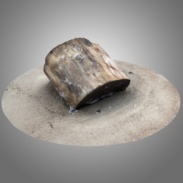 Rustic wood stump 5 3D model - TurboSquid 1230391