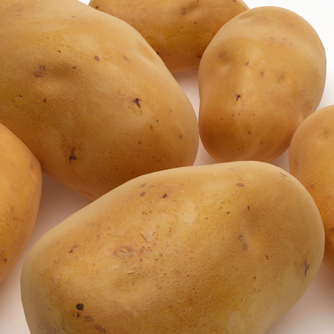 potato 3d max