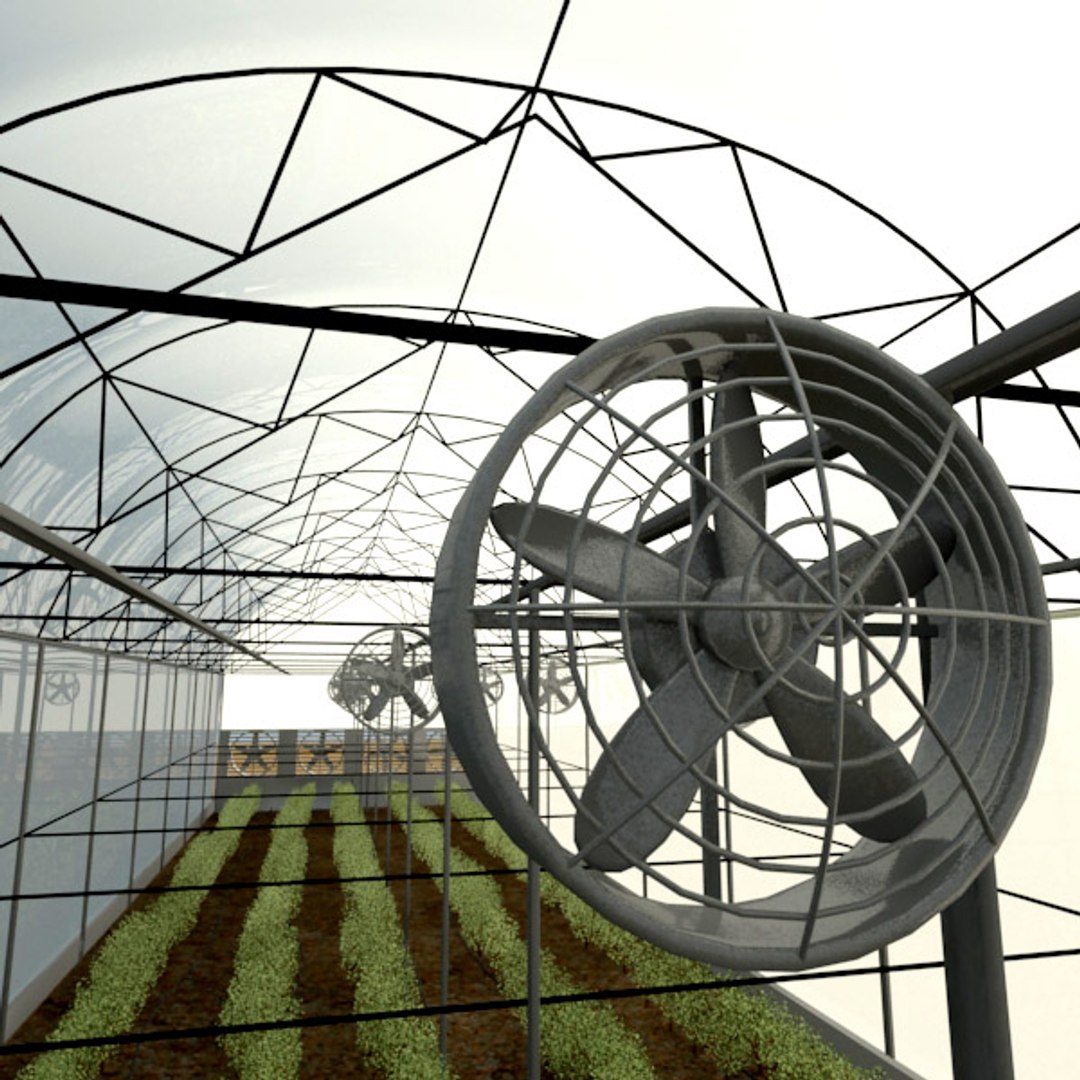 3d Greenhouse Plants Fans Model