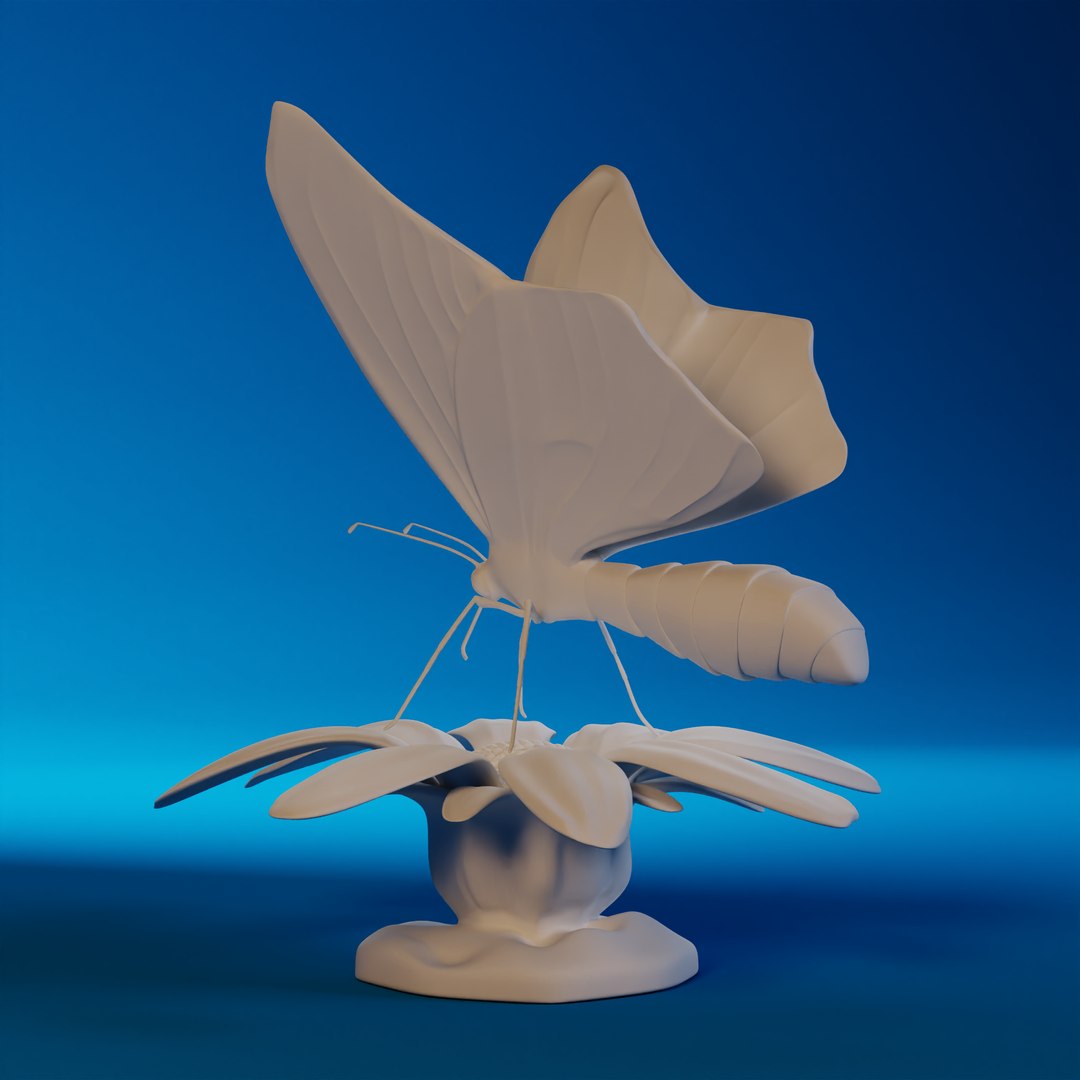 Butterfly 3D Model - TurboSquid 2052479