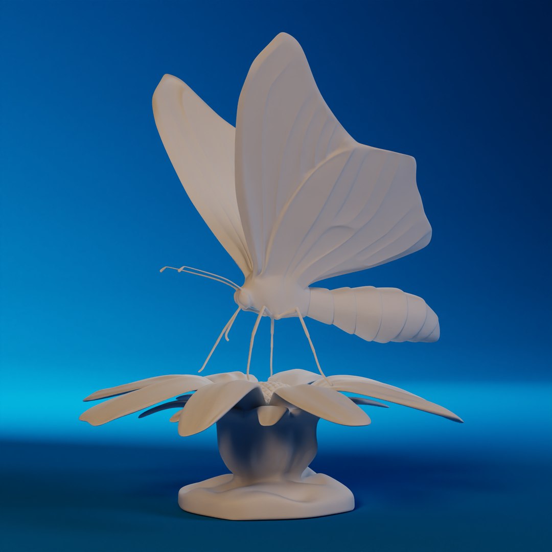 Butterfly 3D Model - TurboSquid 2052479