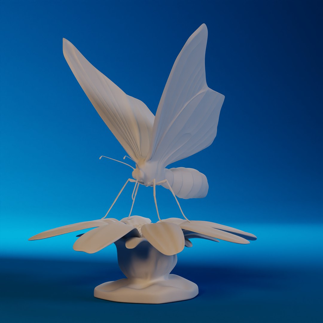 Butterfly 3D Model - TurboSquid 2052479