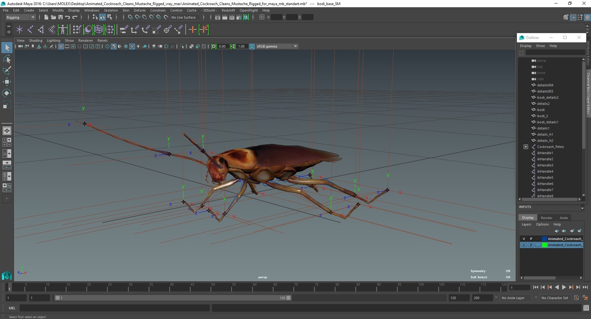 3D Rigged Animated Cockroach Collection For Maya - TurboSquid 2268603