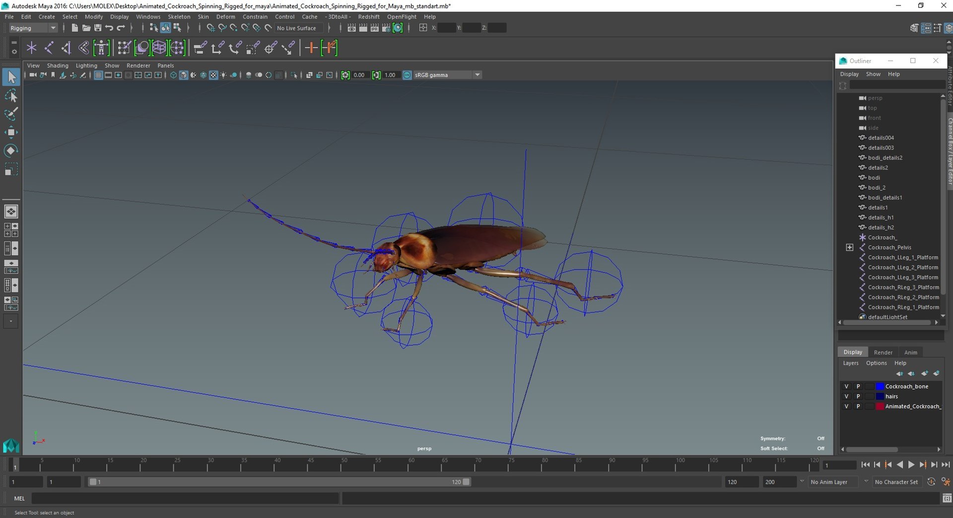 3D Rigged Animated Cockroach Collection For Maya - TurboSquid 2268603