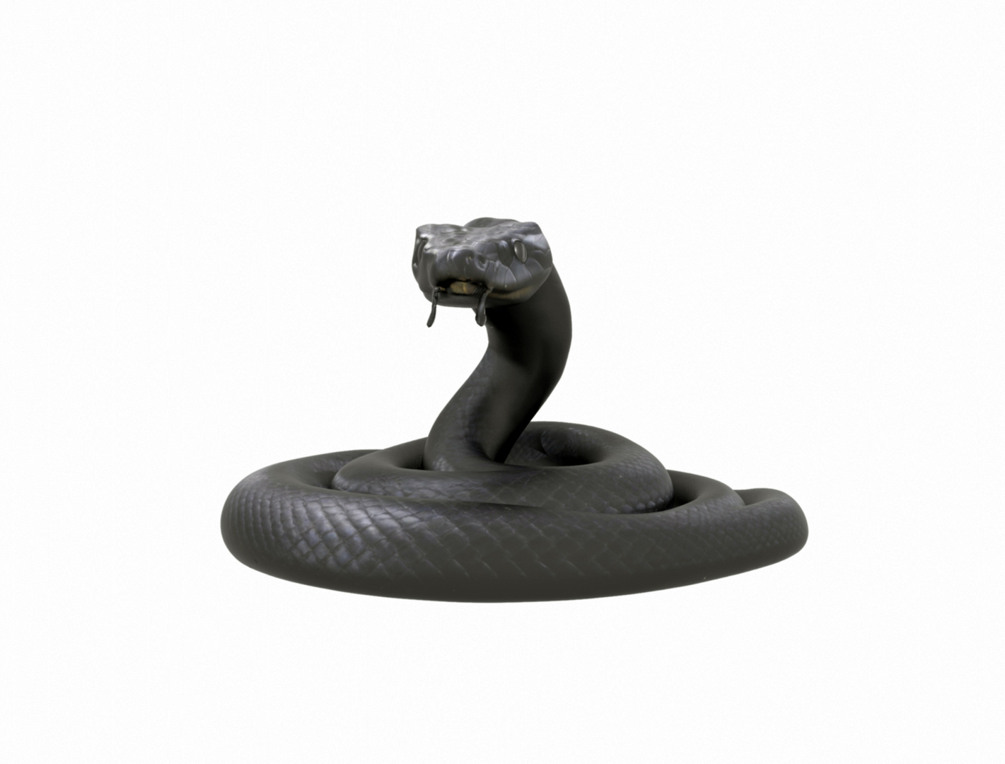 Realistic Black Mamba Snake 3D Model 3D Model - TurboSquid 2322634