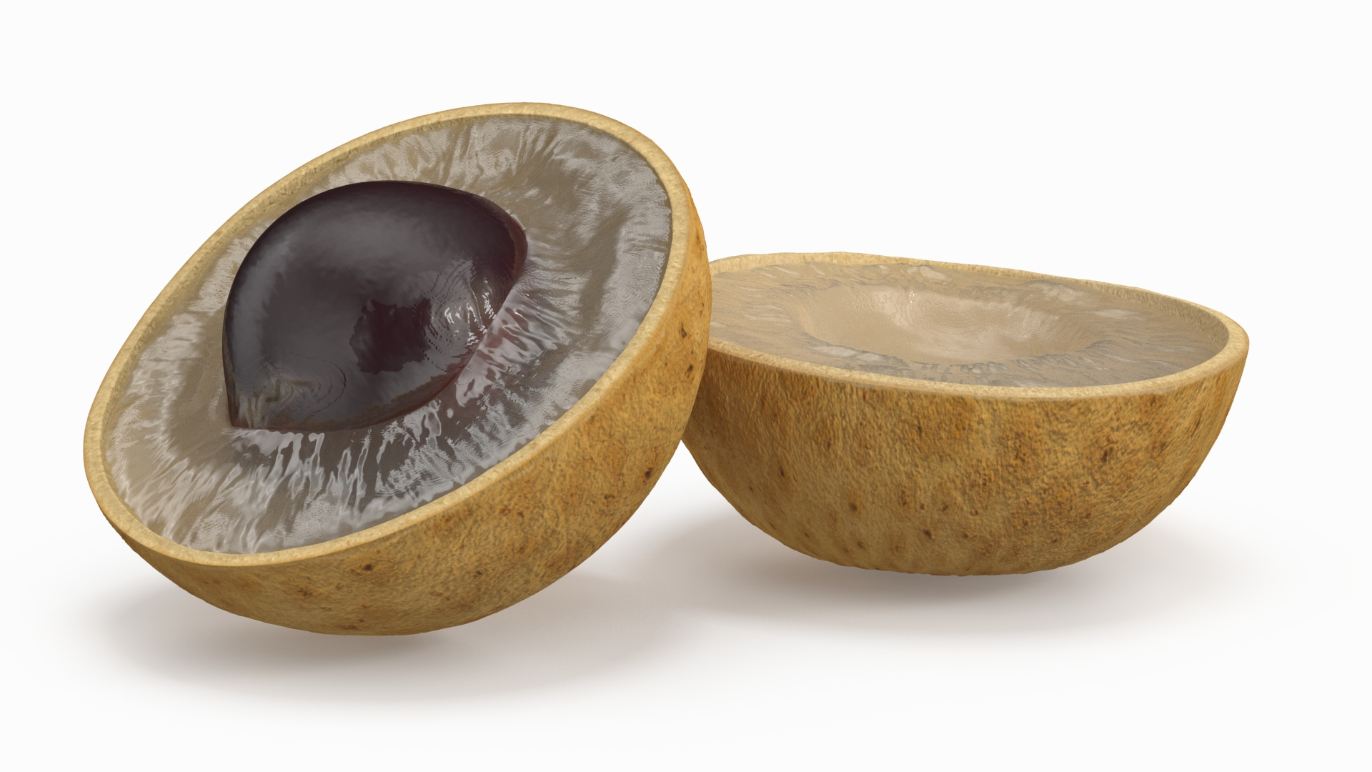 Realistic Half Cut Longan Fruit 3D - TurboSquid 2202823